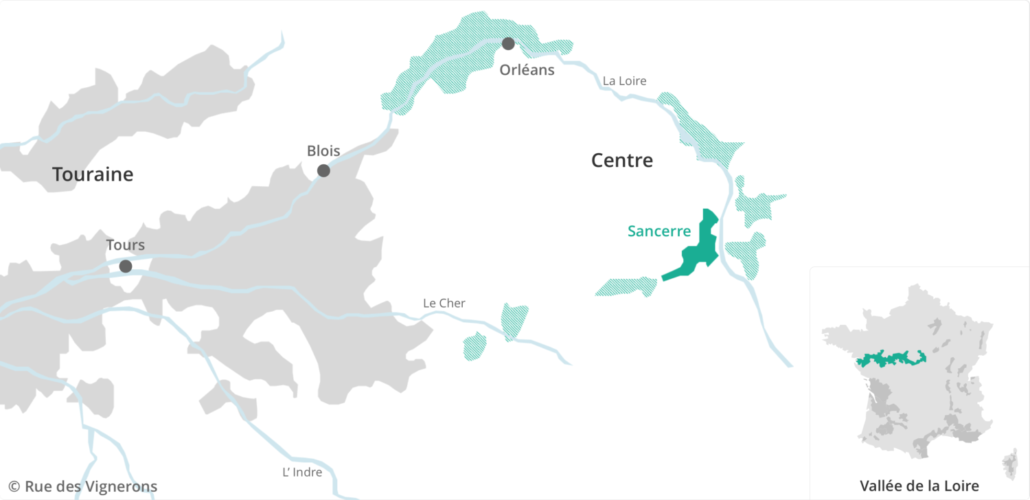 AOC Sancerre : guide de l'appellation et des vins