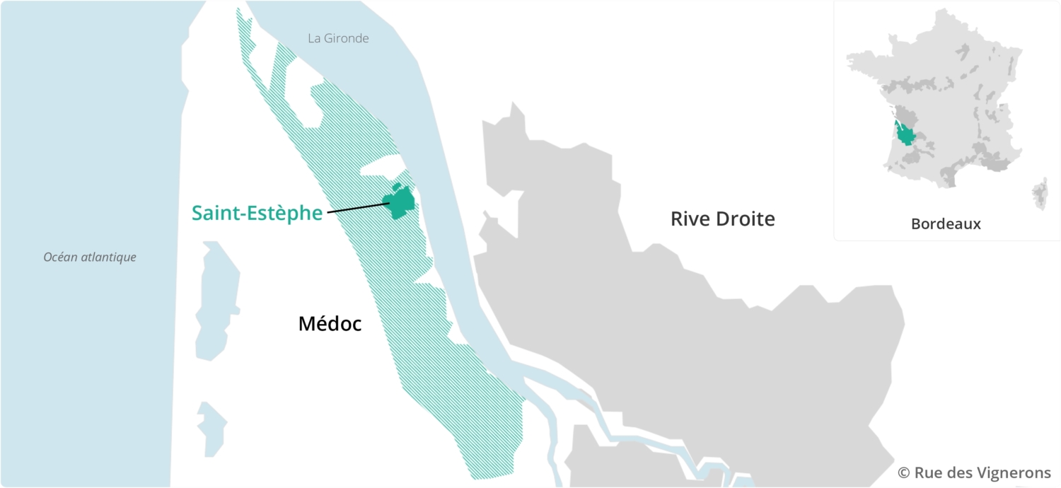 AOC Saint-Estèphe : guide de l'appellation et des vins