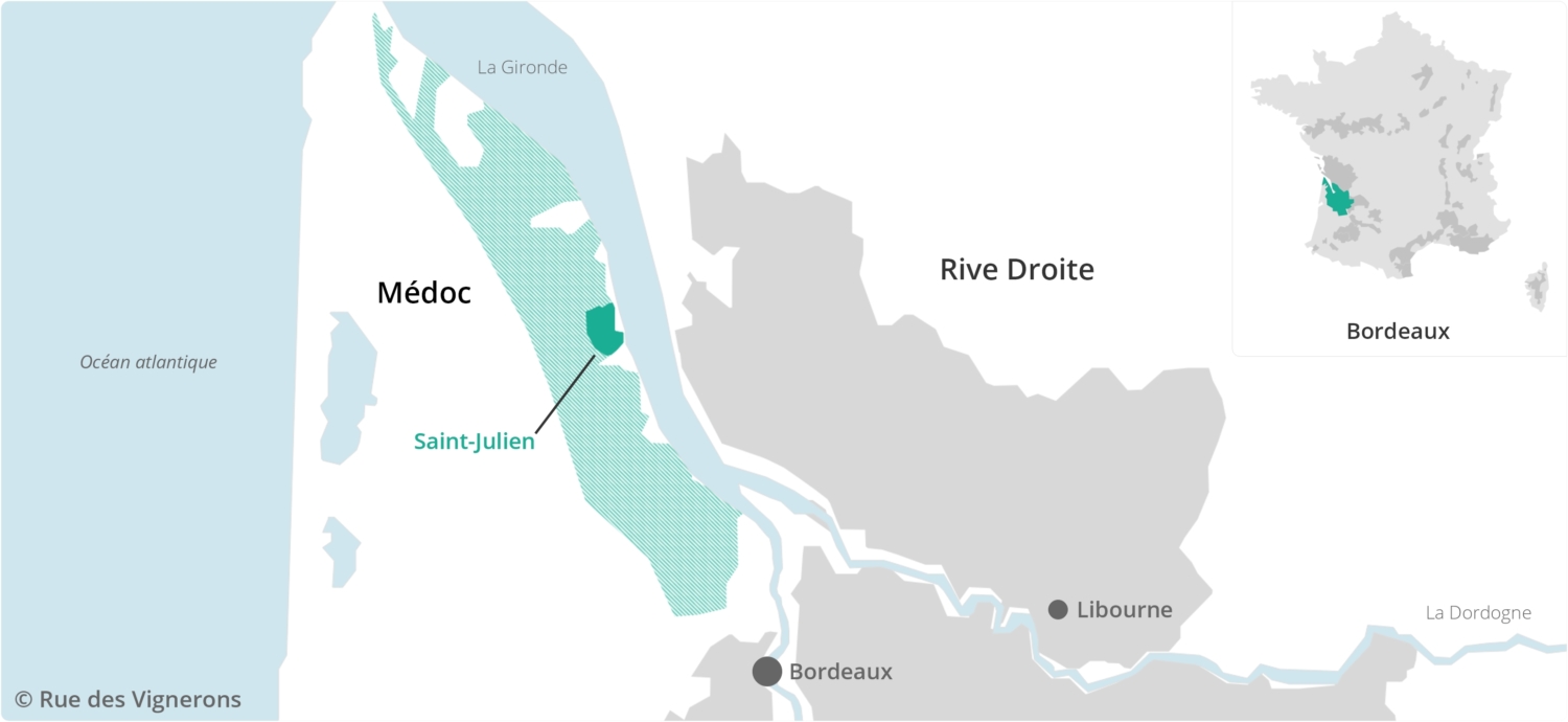 AOC Saint Julien : guide de l'appellation et des vins