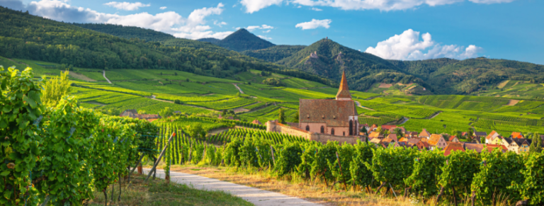 Route des vins de France – Guide, circuit et itinéraires