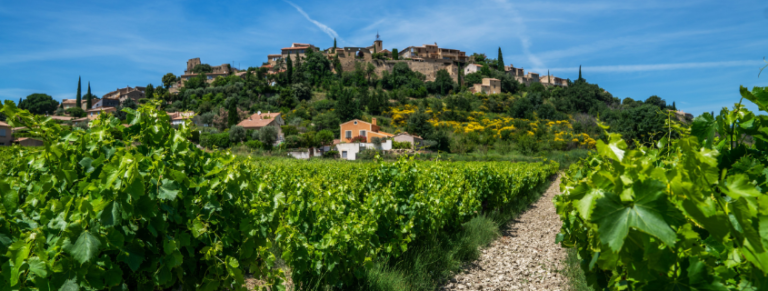 Route des vins de France – Guide, circuit et itinéraires