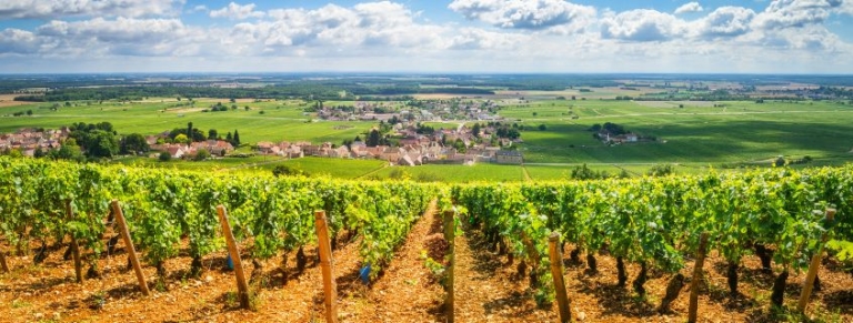 Visiter la Bourgogne en 3 jours ⭐️ Les TOP à faire (2025)